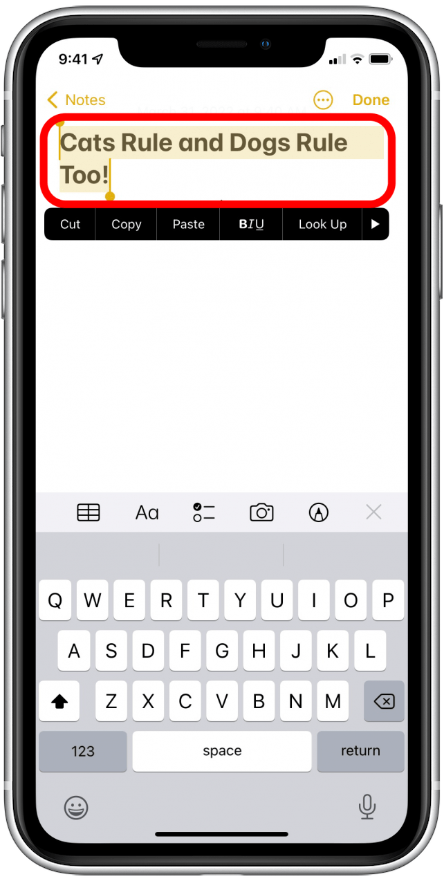 How to Use the Spacebar to Select & Edit Text on iPhone