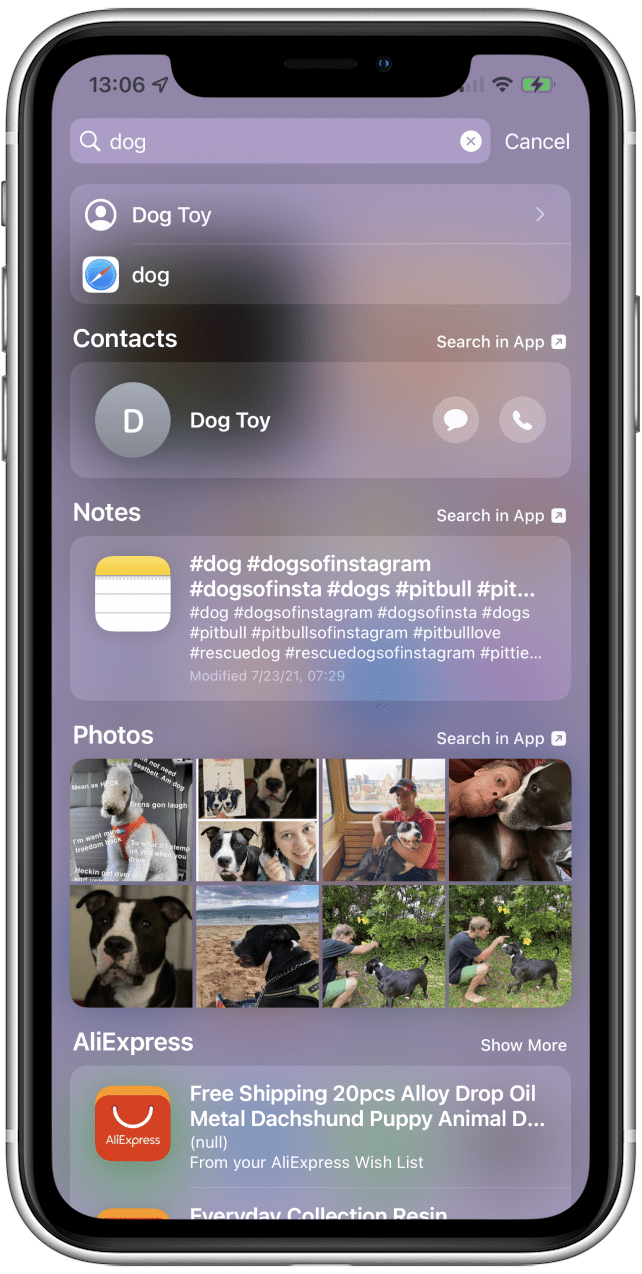 How to Control F on iPhone: Spotlight Search 101