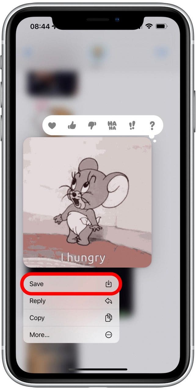 How to Save GIFs on iPhone in 2022: iPhone GIF Download 101