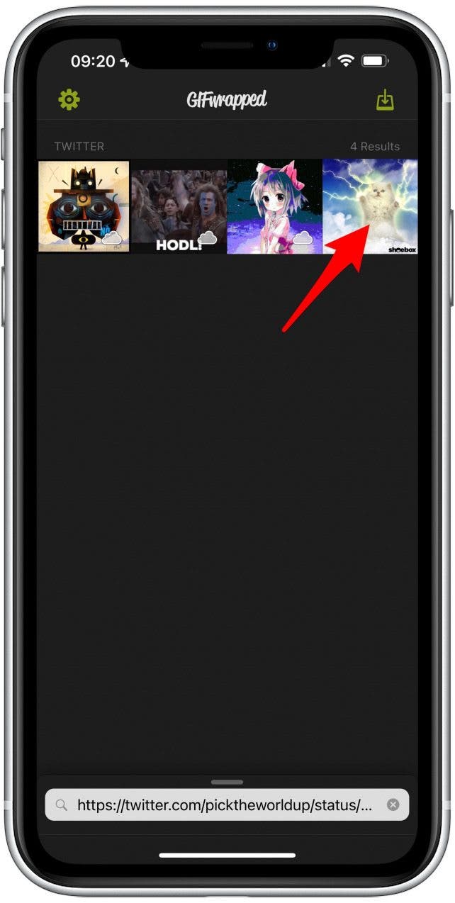How to Save GIFs on iPhone in 2022: iPhone GIF Download 101