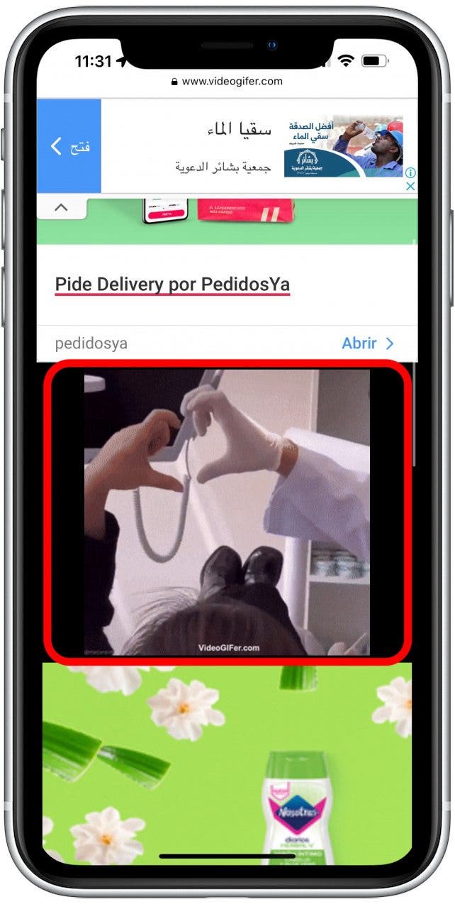 How to Save GIFs on iPhone in 2022: iPhone GIF Download 101