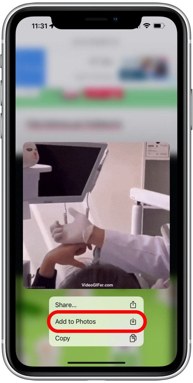 How to Save GIFs on iPhone in 2022: iPhone GIF Download 101