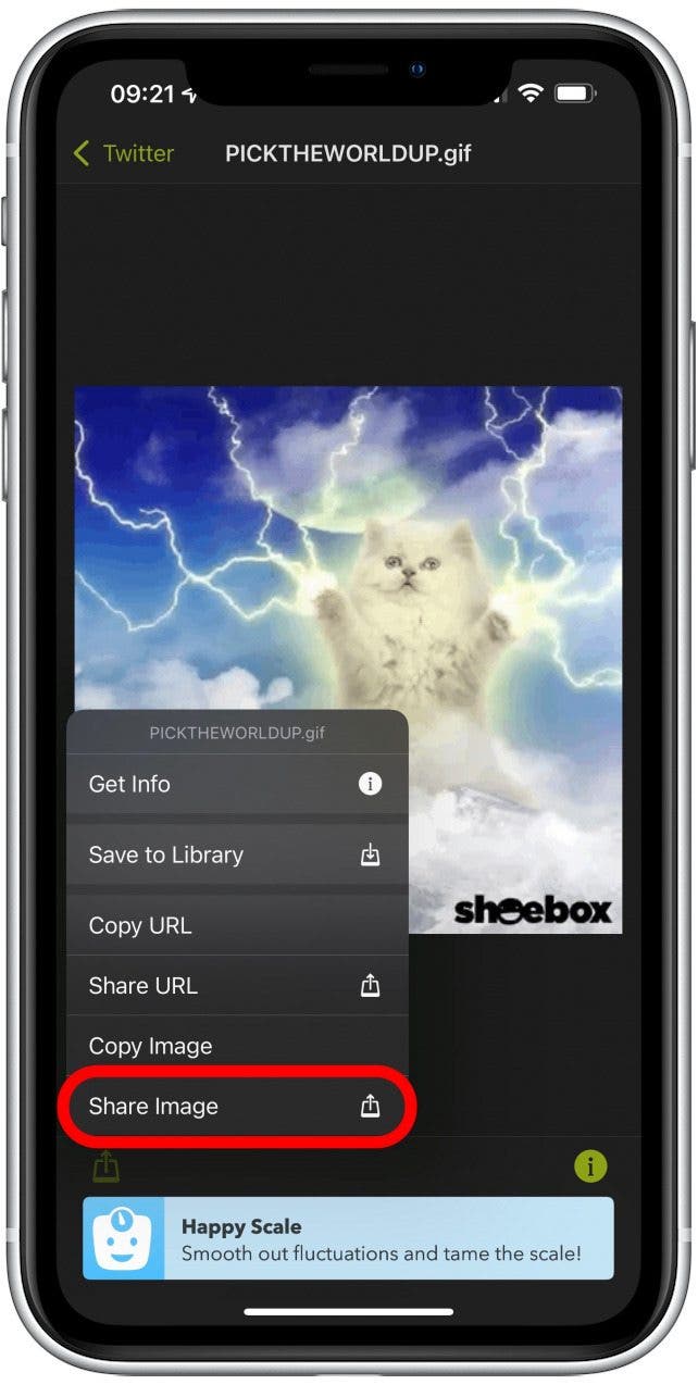 How to Save GIFs on iPhone in 2022: iPhone GIF Download 101