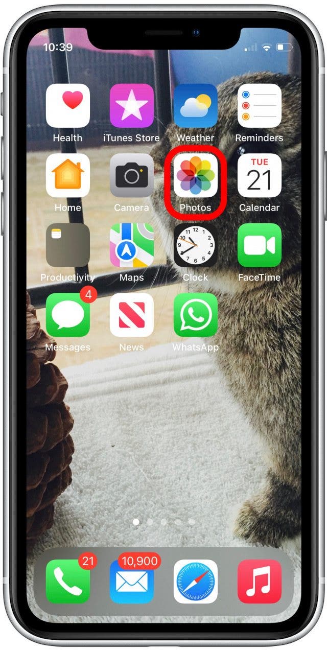 How to Identify Plants with the iPhone Photos App | www.iphonelife.com
