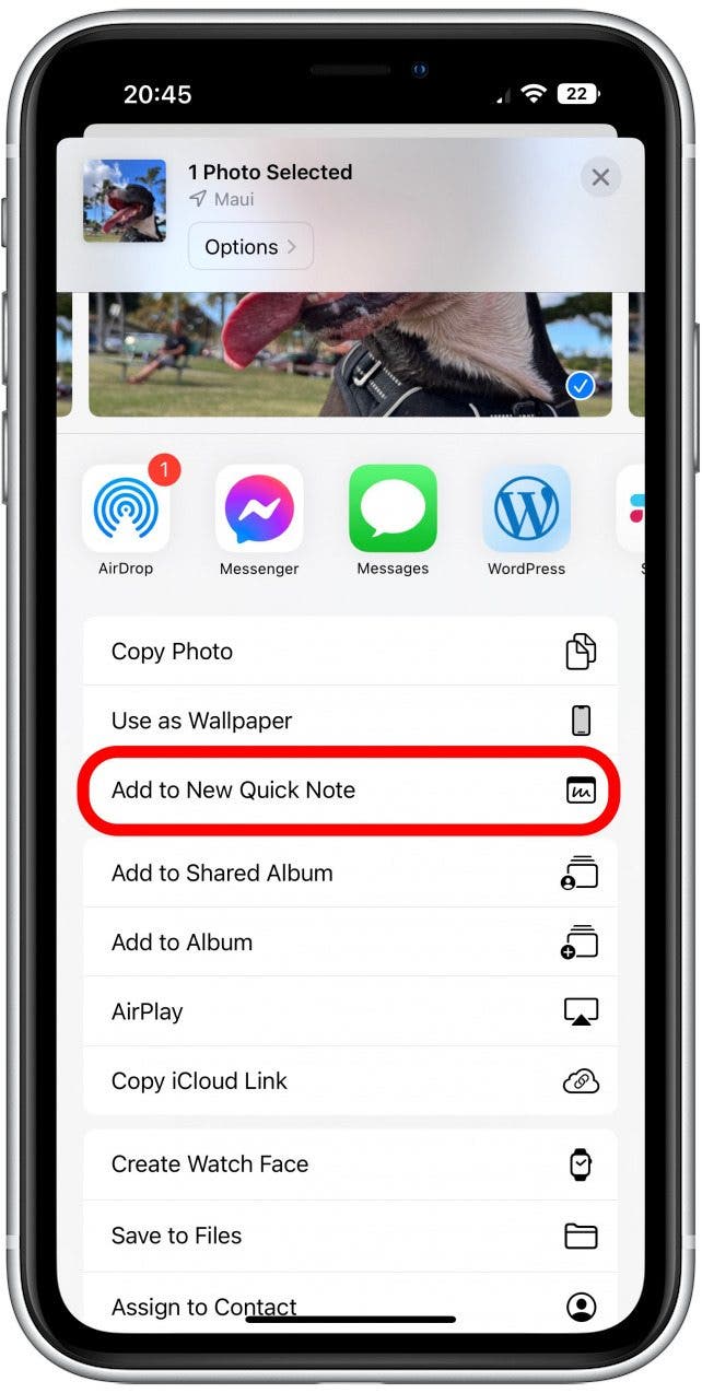 How to Add Quick Note Using Your iPhone's Share Sheet