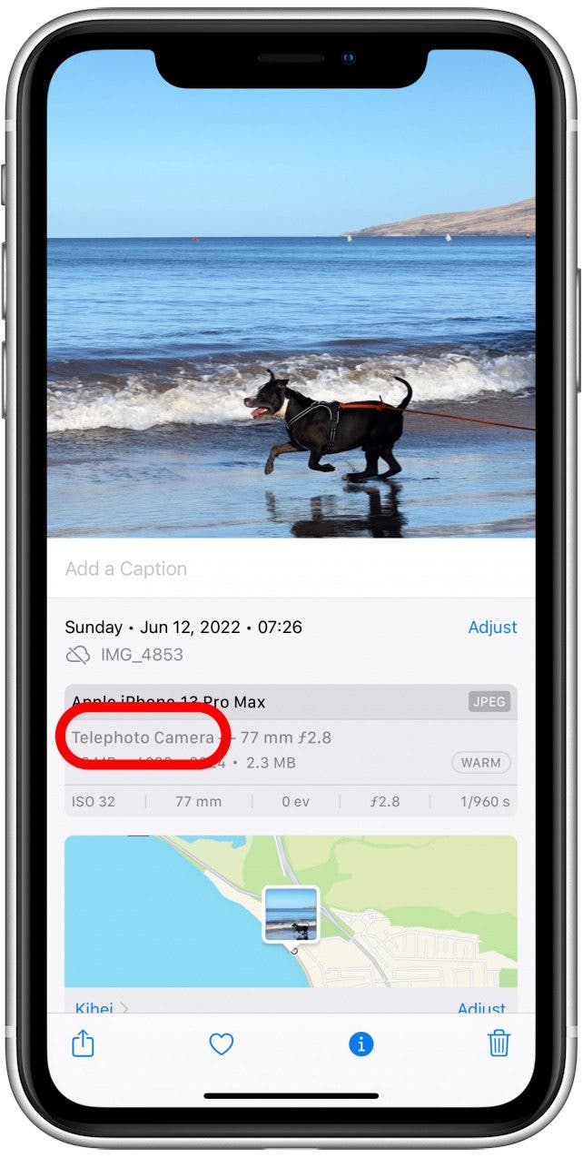 Camera iPhone Lens Guide: When to Use Which Lens? (2022)