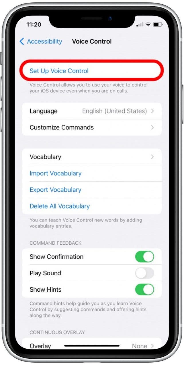Unlock Your iPhone & Close Apps Using a Voice Command | www.iphonelife.com