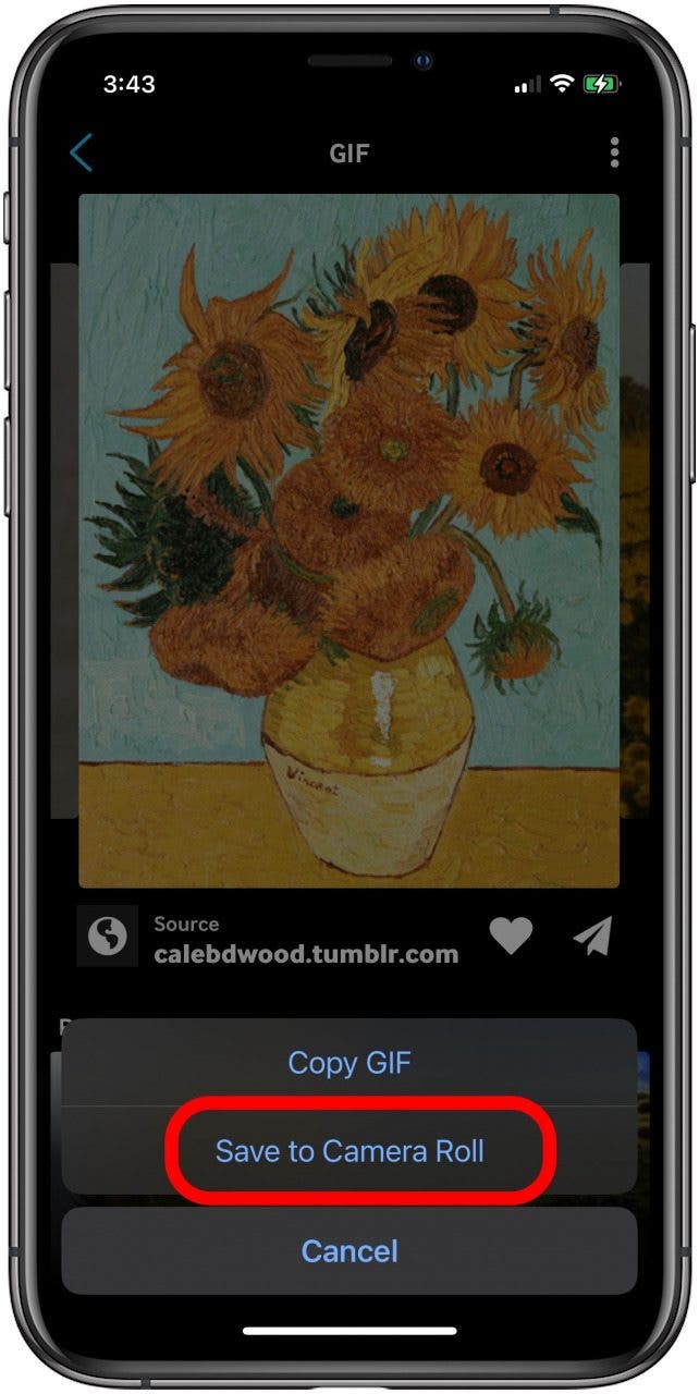How to Save GIFs on an iPhone: Download Your Favorites