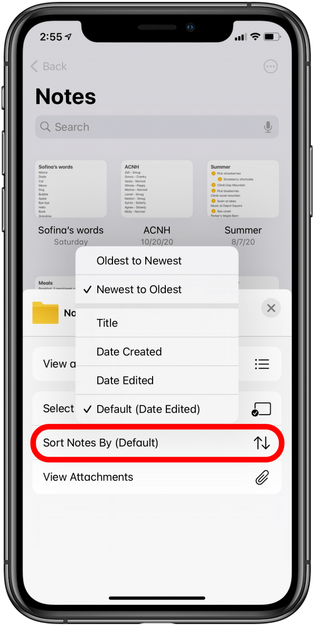 How to View Notes in Gallery View in the Notes App