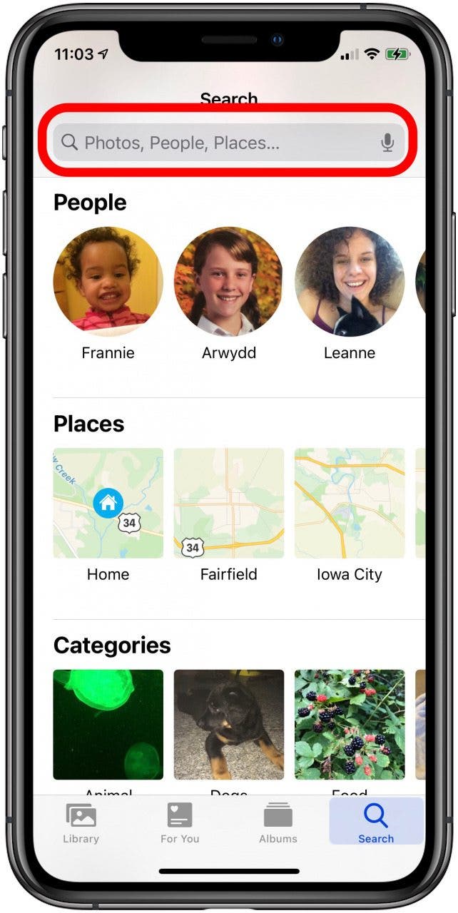 How to Search Photos on iPhone with Photo Captions