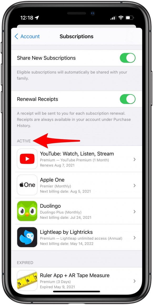 iCloud Plus 101: Everything You Need to Know