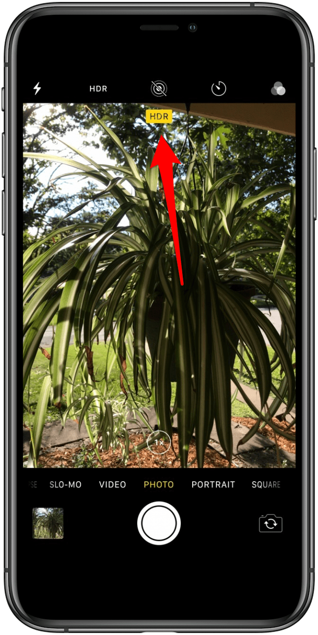 What Is HDR & How to Use It on Your iPhone Camera (Updated for 2020)