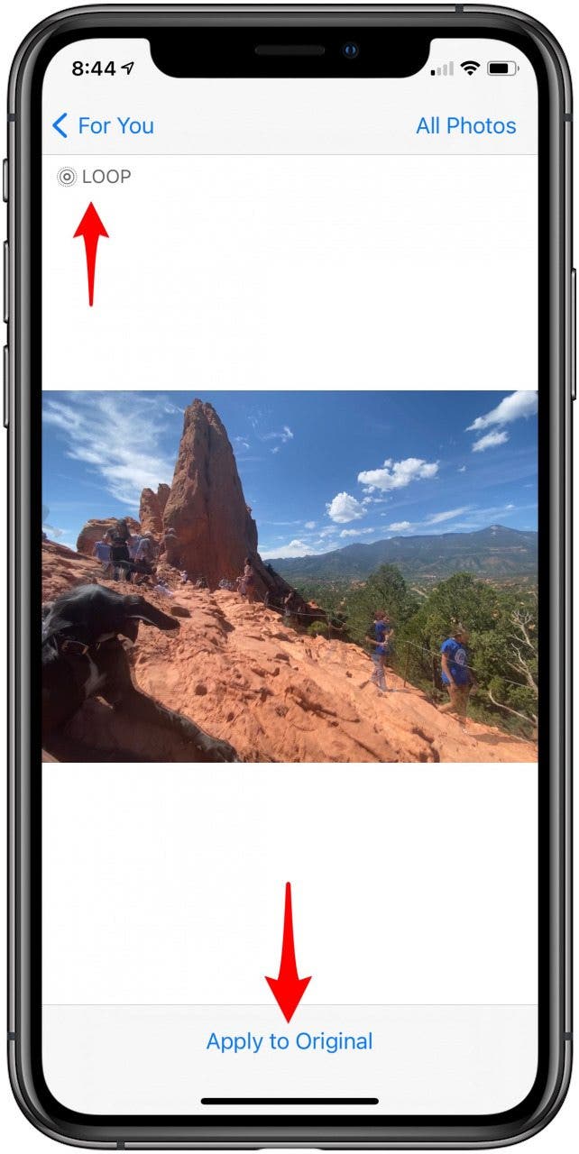 How to Use Effect Suggestions in the Photos App in iOS 14