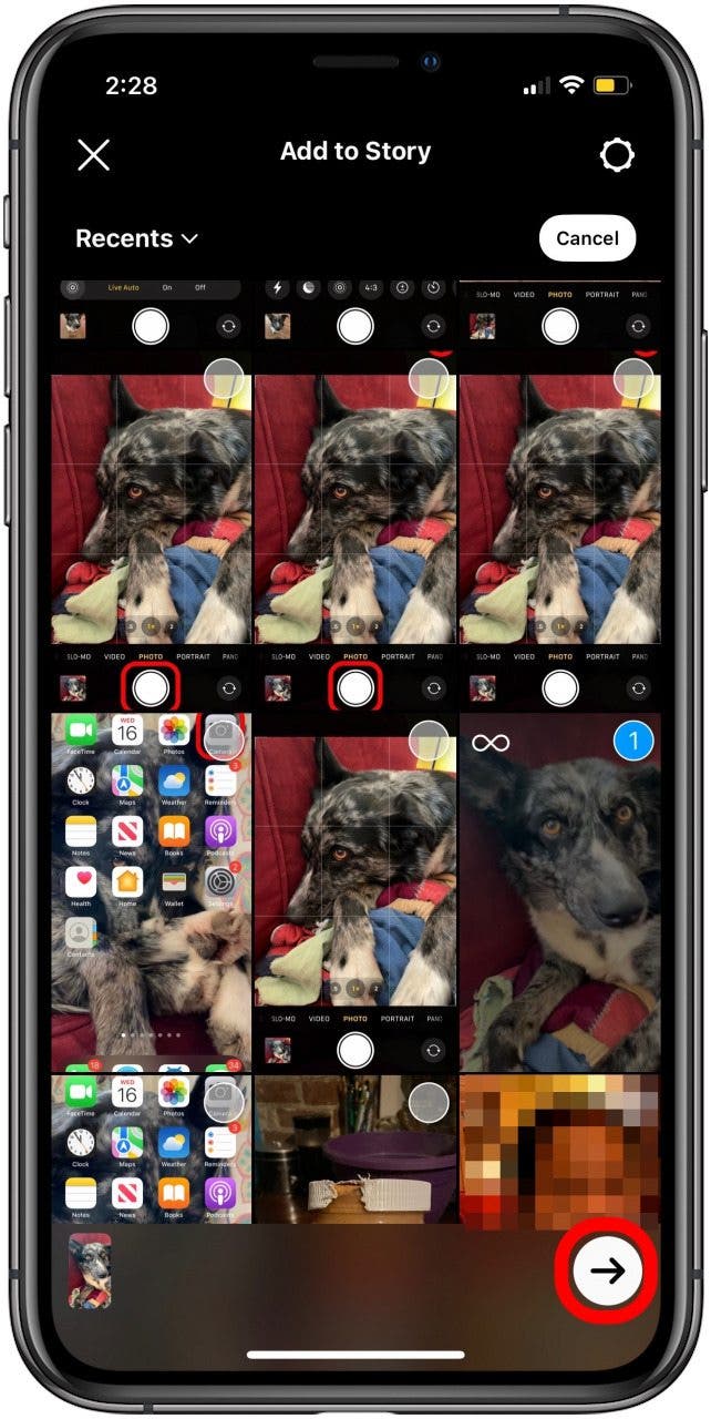 How to Post a Live Photo on Instagram from iPhone