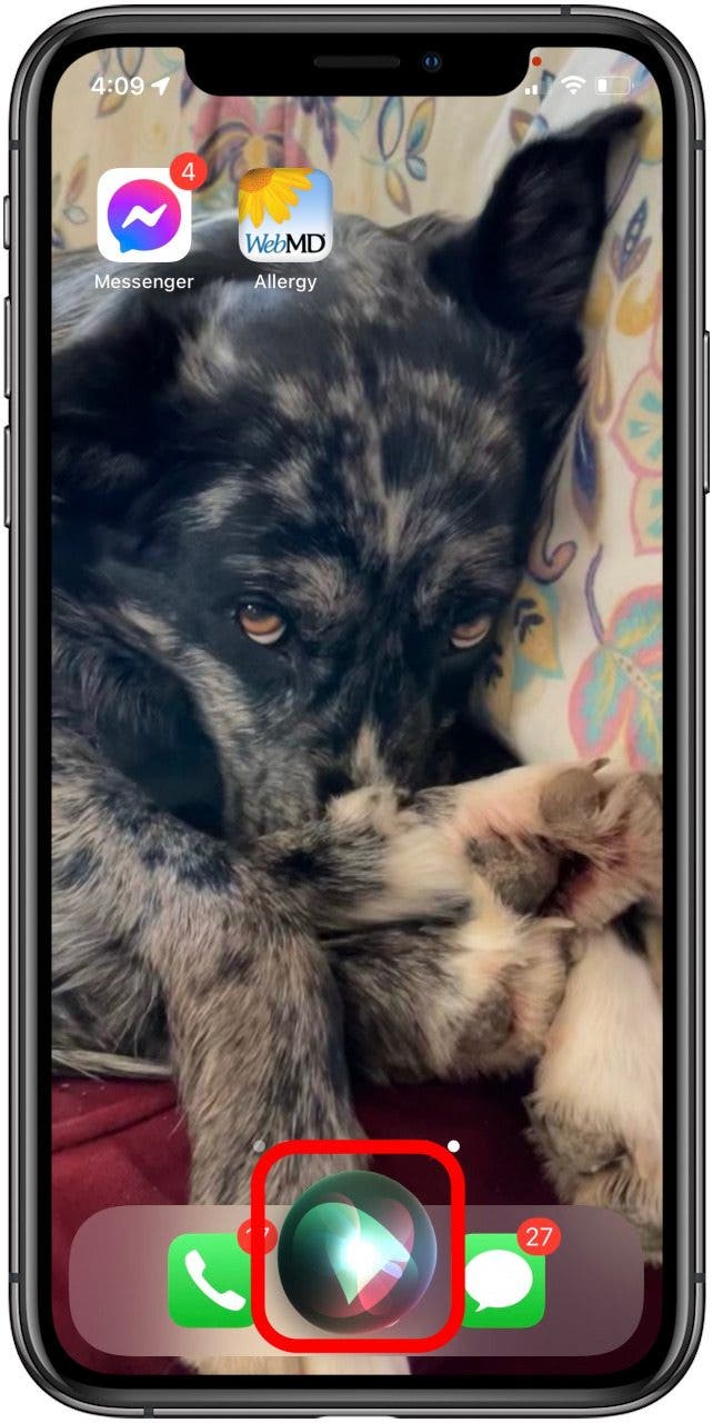 How to Take a Picture with Siri (iOS 16)