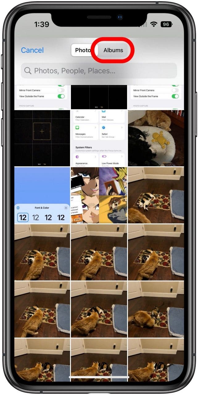 How to Make a GIF or Video from a Live Photo on iPhone