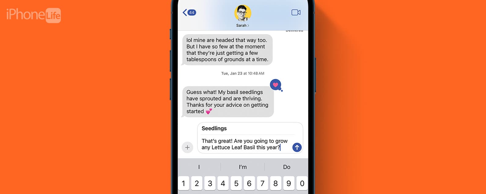 How to Add or Remove an iMessage Subject Line on iPhone & iPad