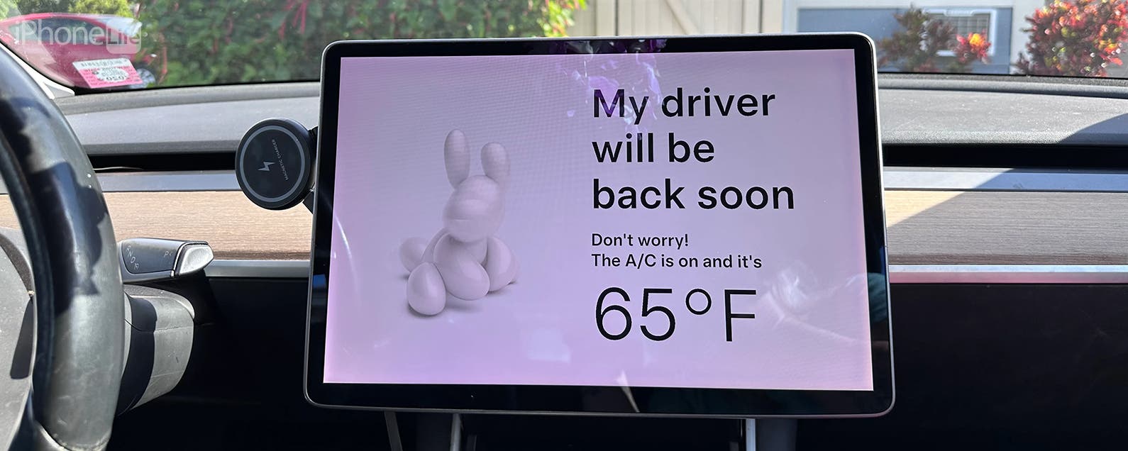 Tesla Dog Mode: What Is It & How to Use It?