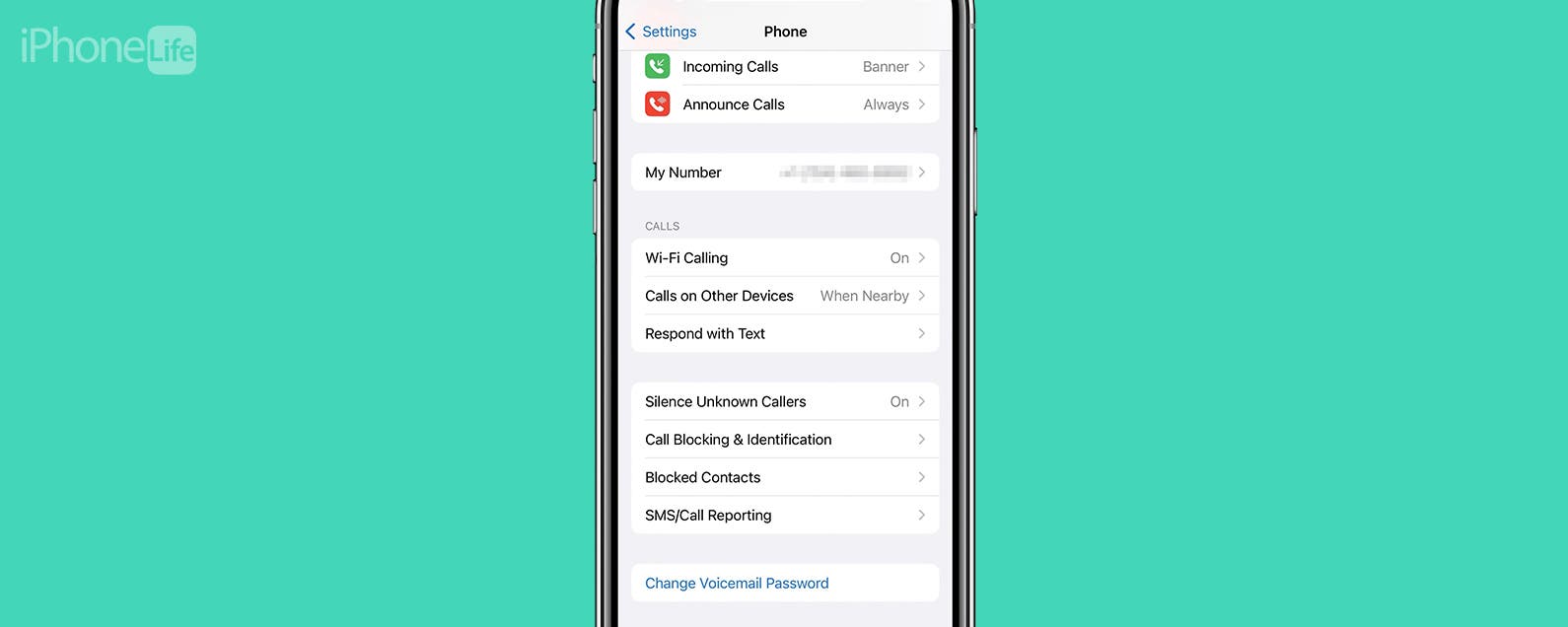 Identify Mystery Numbers: How to Find No Caller ID on iPhone